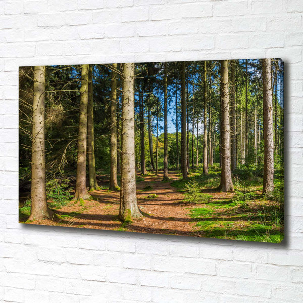 Union Rustic Panorama des Waldes - Kunstdrucke auf Leinwand | Wayfair.de